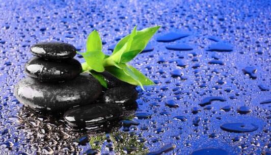 Kora Organics The Miranda Kerr Reset Sweepstakes