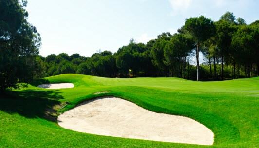 Forbey Simulator Giveaway Sweepstakes